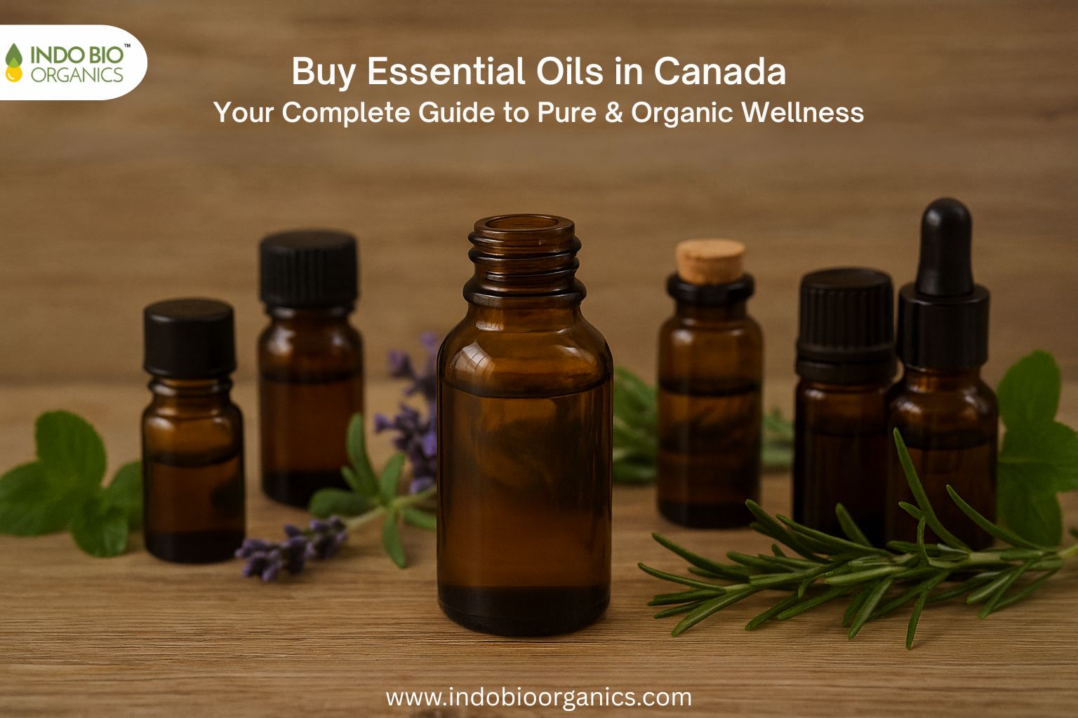 Buy Essential Oils in Canada | Pure Organic Oils Online – Indo Bio ...