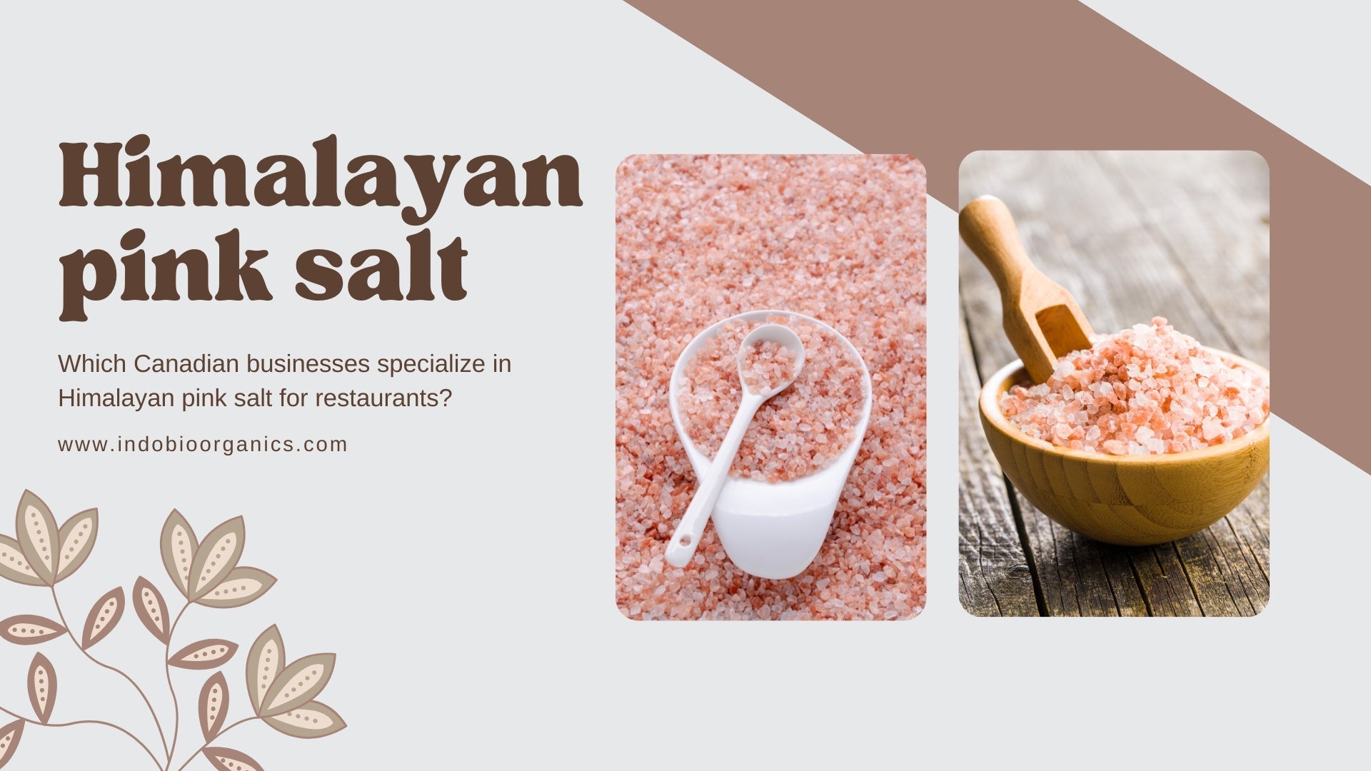 Which Canadian businesses specialize in Himalayan pink salt for restau ...